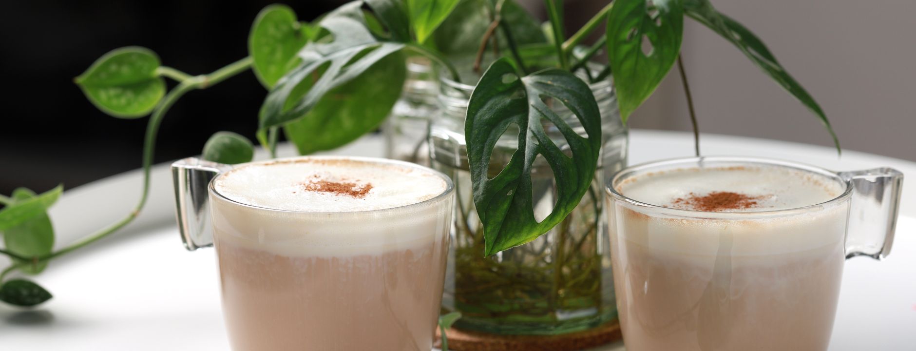 Oasis Teaz | Buy Fresh Exotic Loose Leaf Teas | Shipping Globally